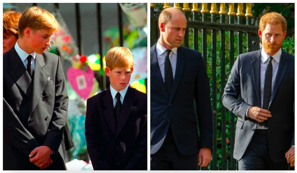 William e Harry já eram distantes antes mesmo da morte da Princesa ...