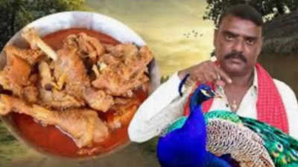 Youtuber é preso após publicar vídeo preparando 'curry de pavão' e ...