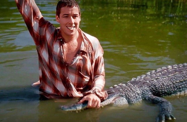 Timothée Chalamet chama Adam Sandler de um dos melhores atores da ...