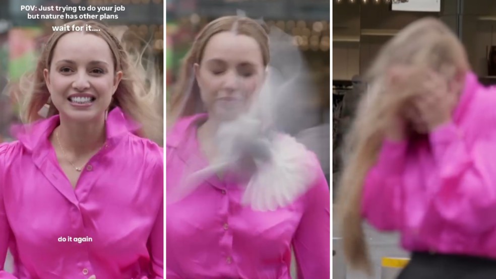 Repórter é atacada por pássaro durante gravação e mostra estrago: 'A ...