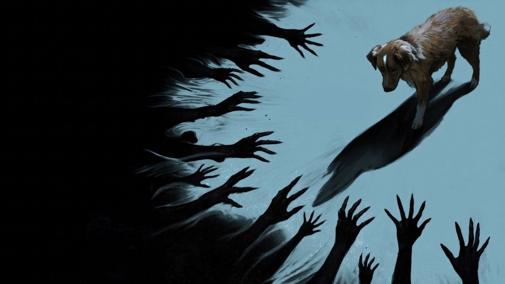 Cachorro desbanca figurões de Hollywood e conquista categoria de ...