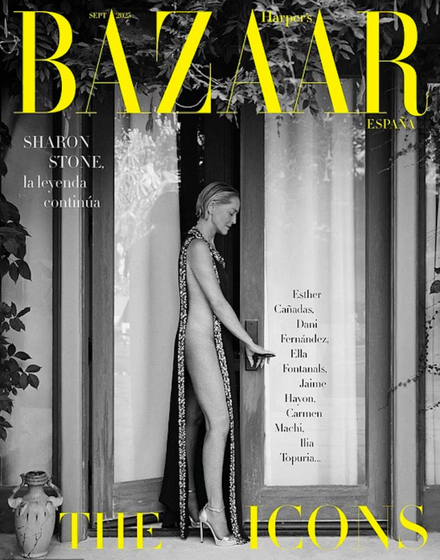 Sharon Stone arrasa com vestido de fenda lateral de cima a baixo - e ...
