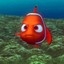 O fato cientificamente comprovado sobre 'Procurando Nemo' que está ...