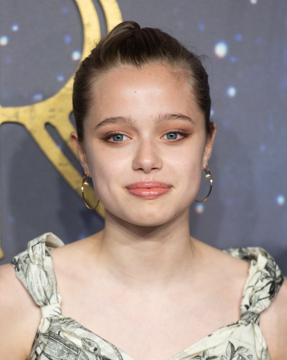 Advogado de Shiloh, filha de Angelina Jolie e Brad Pitt, explica por ...