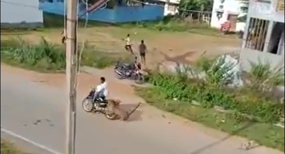 Vídeo aterrorizante mostra leopardo atacando e derrubando motociclista ...