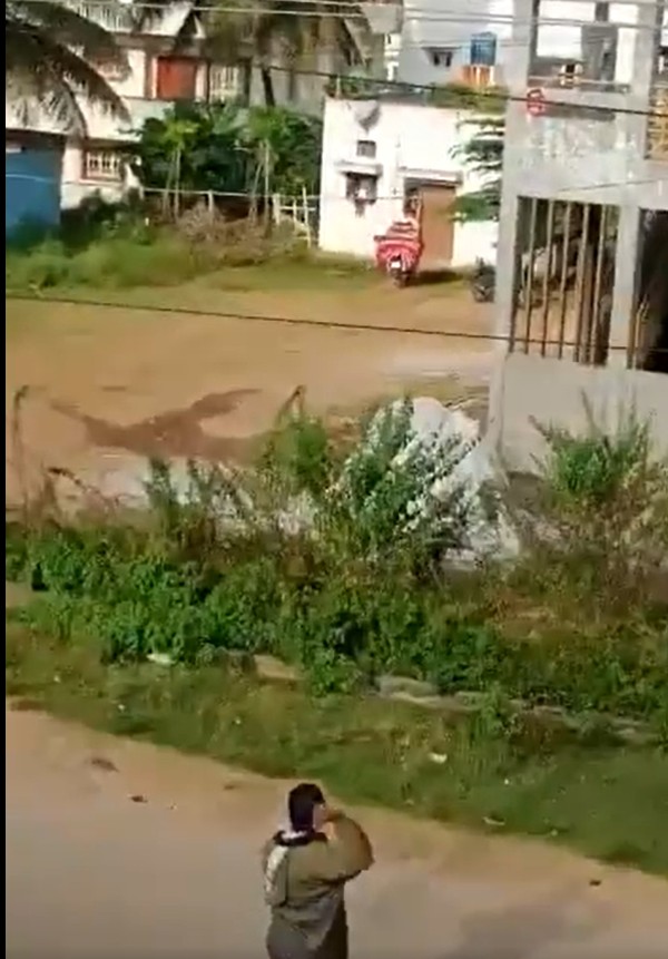 Vídeo aterrorizante mostra leopardo atacando e derrubando motociclista ...