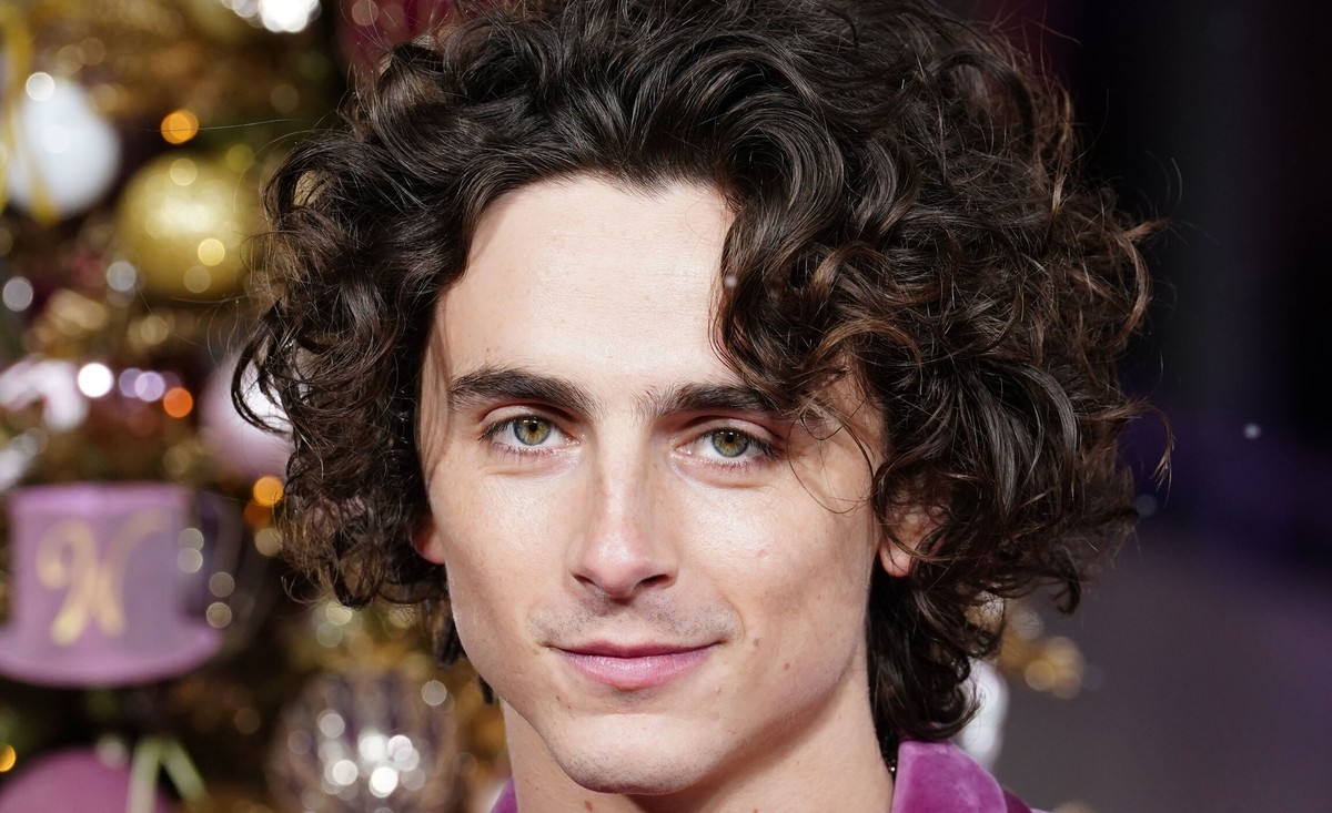 Timothée Chalamet ouviu que não faria sucesso em Hollywood por ser ...