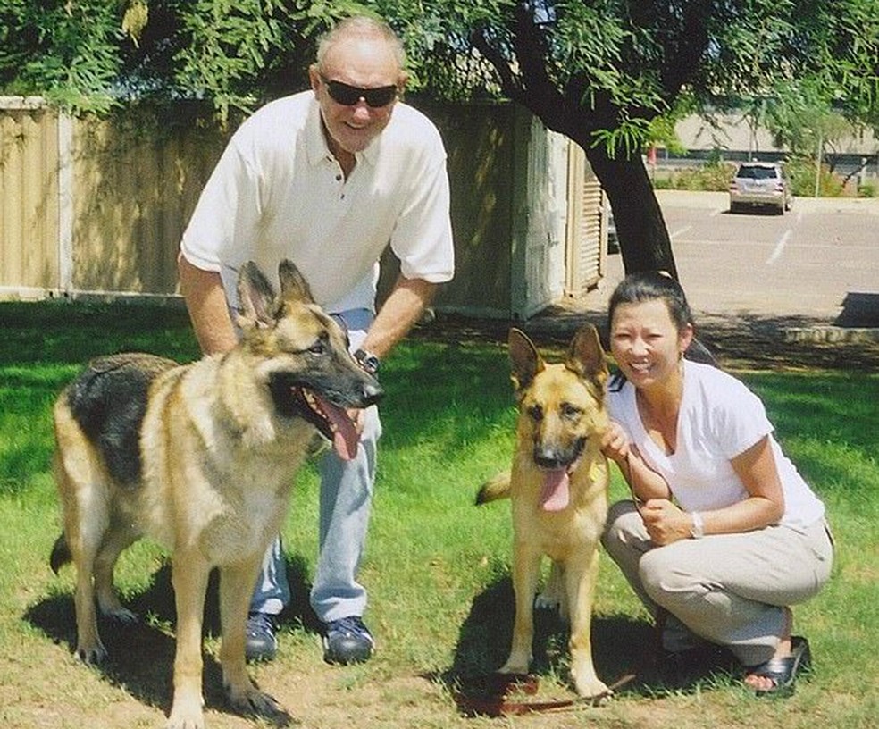 Amigo de Gene Hackman explica por que só dois dos três cachorros do ...