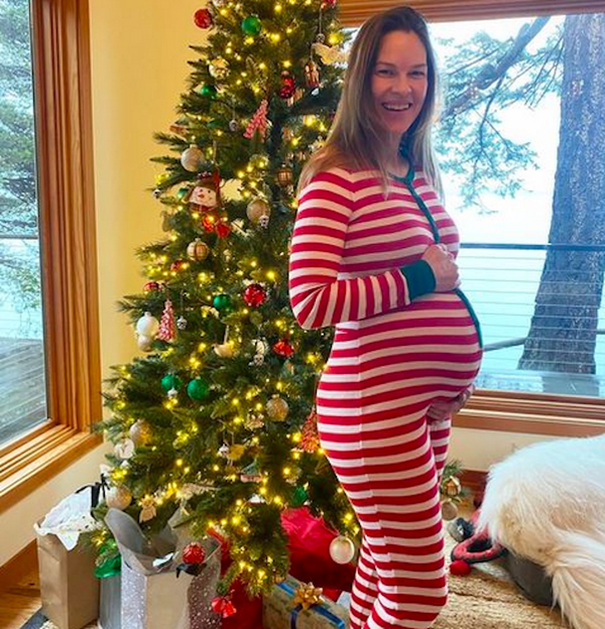 Hilary Swank celebra gravidez de gêmeos aos 48 anos: ‘Milagre’ | Celebridades | Monet