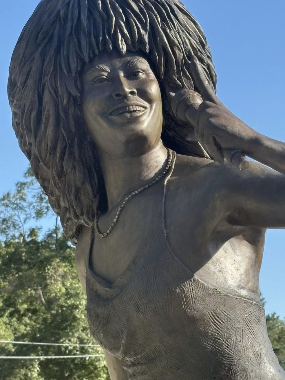 Tina Turner ganha estátua 'irreconhecível' na sua cidade natal e ...