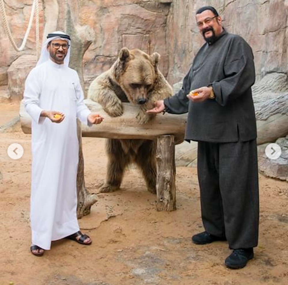 Steven Seagal dá comida para urso na boquinha e faz cabo de guerra com ...