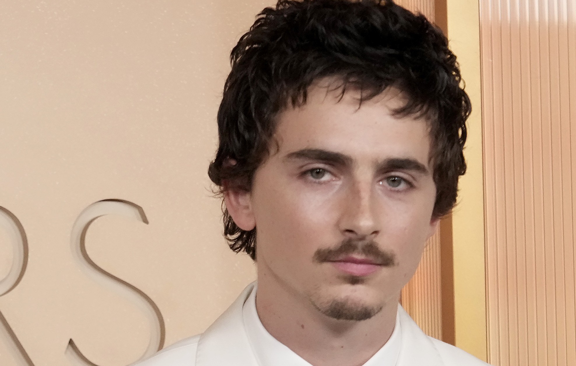 Astro de 'Stranger Things' ironiza Timothée Chalamet e faz piada com ...