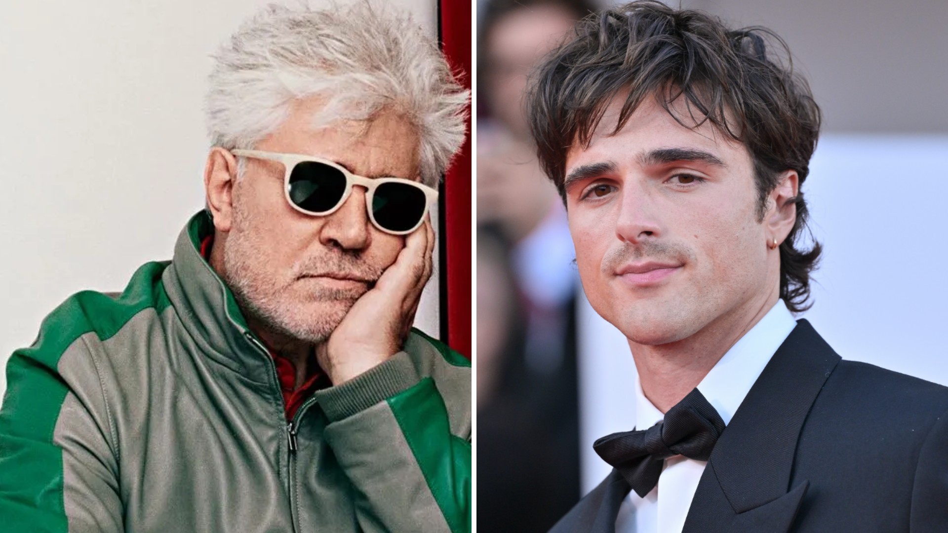 Pedro Almodóvar diz não saber se Jacob Elordi é bom ator ou apenas um ...