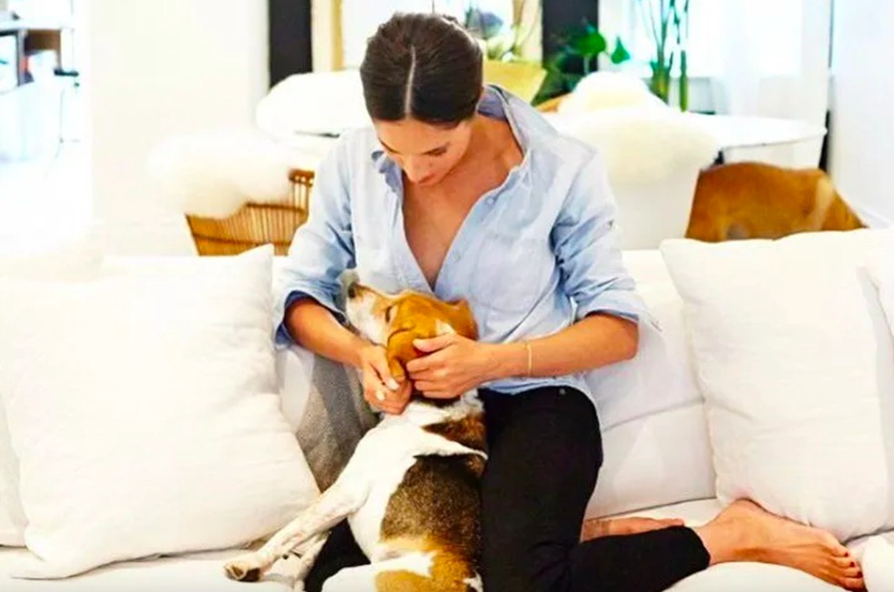 Meghan Markle compartilha vídeo raro da filha Lilibet após encontrar ...