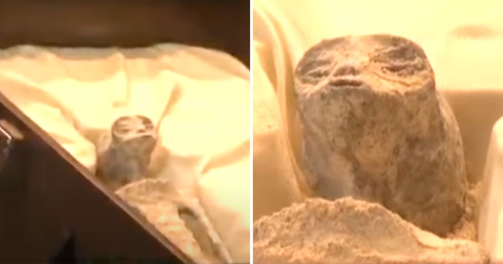 Cadáveres de 1000 anos de supostos aliens são apresentados no ...