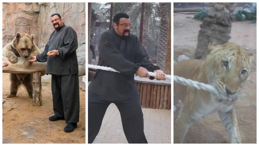 Steven Seagal dá comida para urso na boquinha e faz cabo de guerra com ...