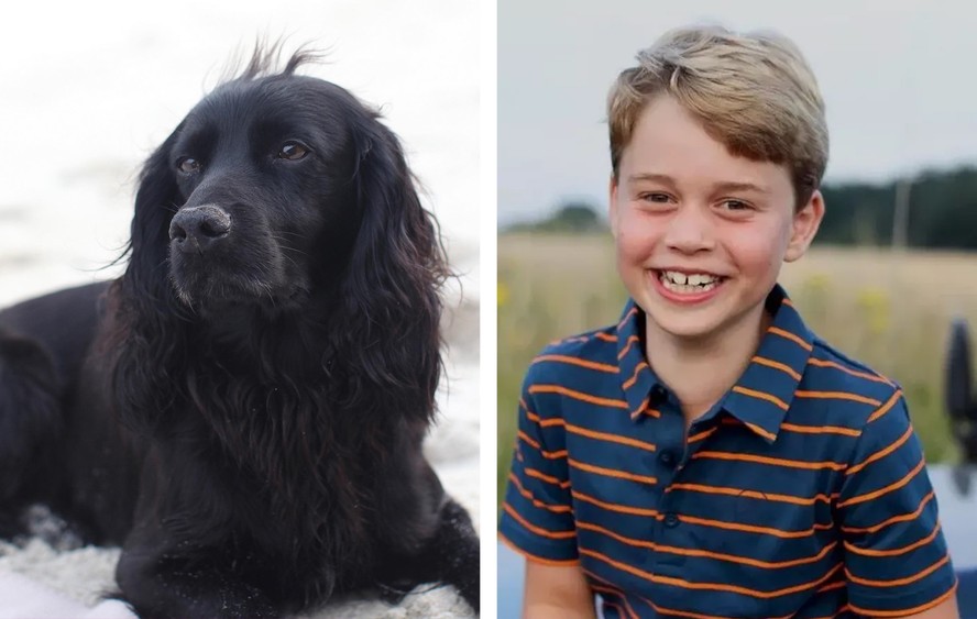 William e Kate Middleton deixaram cachorro 'escolher' nome do príncipe ...