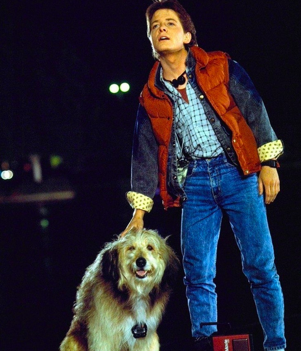 Michael J. Fox posa ao lado de novo pet e fãs ficam chocados por ...