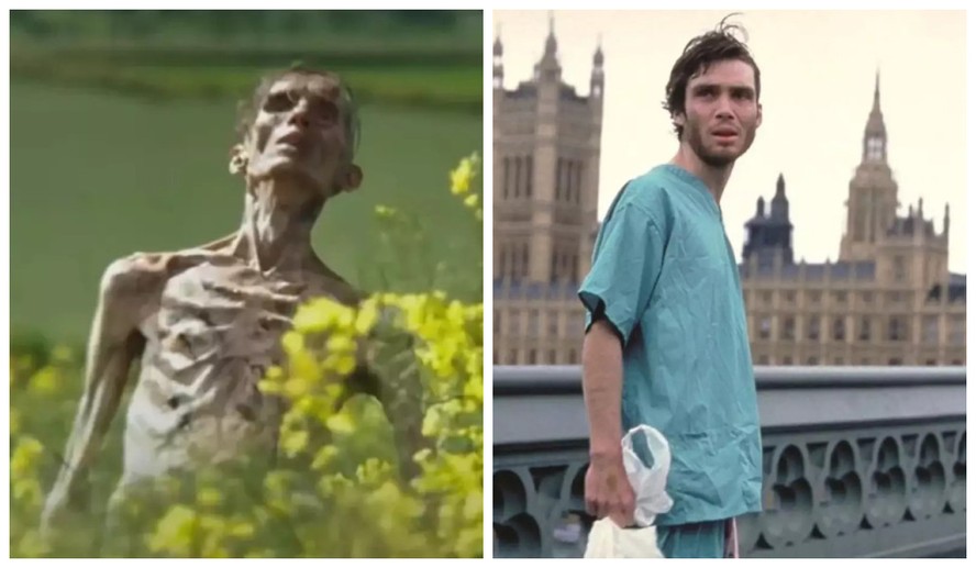 Fãs ficam chocados com Cillian Murphy como zumbi nas primeiras cenas ...