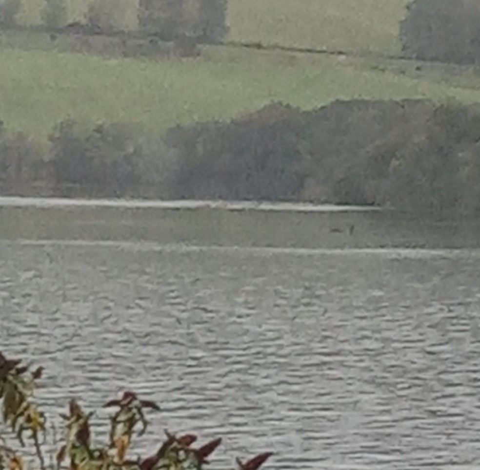 Homem afirma ter conseguido produzir a maior prova da existência do ...