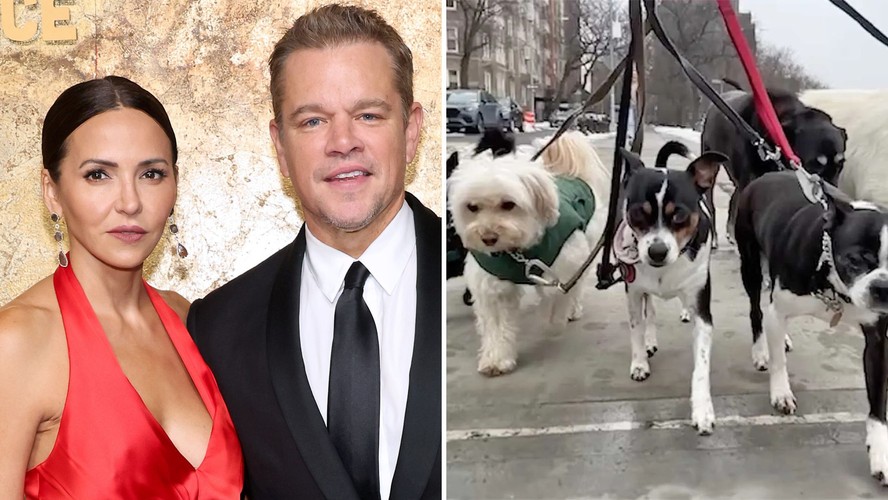 Matt Damon mostra os cinco cachorros de rua que adotou junto com a ...