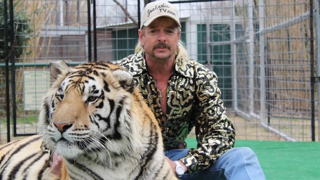 Joe Exotic, da série 'A Máfia dos Tigres', anuncia noivado com outro ...