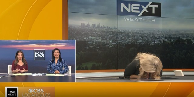 Vídeo perturbador mostra meteorologista desmaiando ao vivo durante telejornal nos EUA