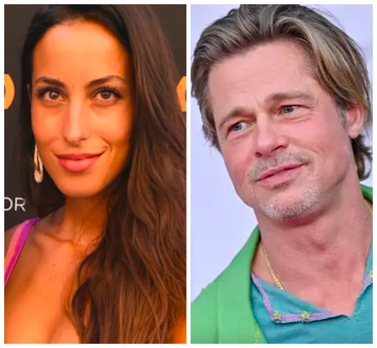 Brad Pitt é Flagrado Tomando Sol Com Empresária De Topless E Confirma