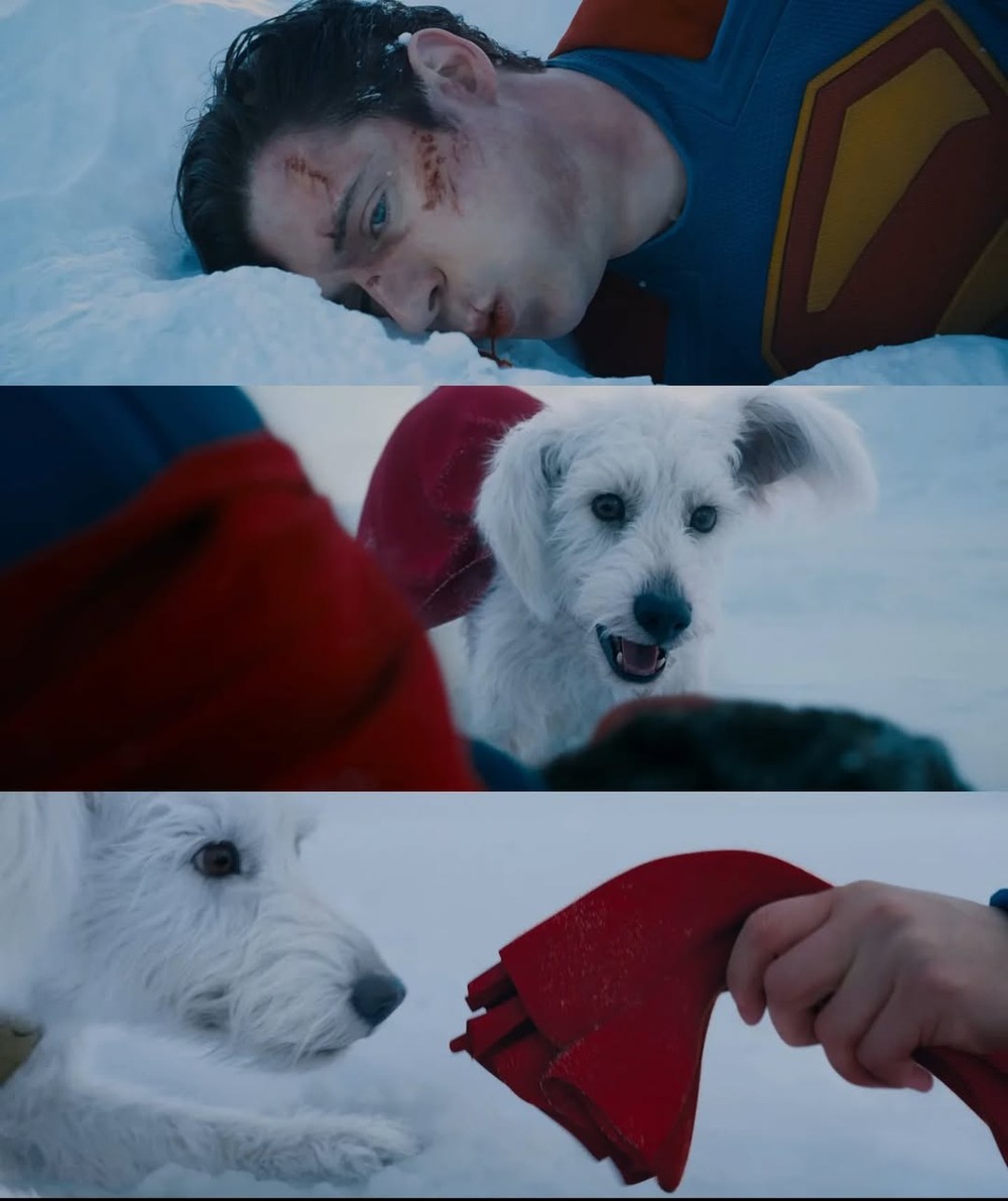 Krypto, grande estrela do primeiro trailer de 'Superman', é um cão de ...
